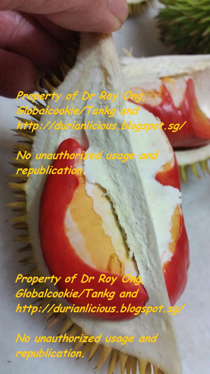 Durianlicious: Red Durian - Myth or Mystery?