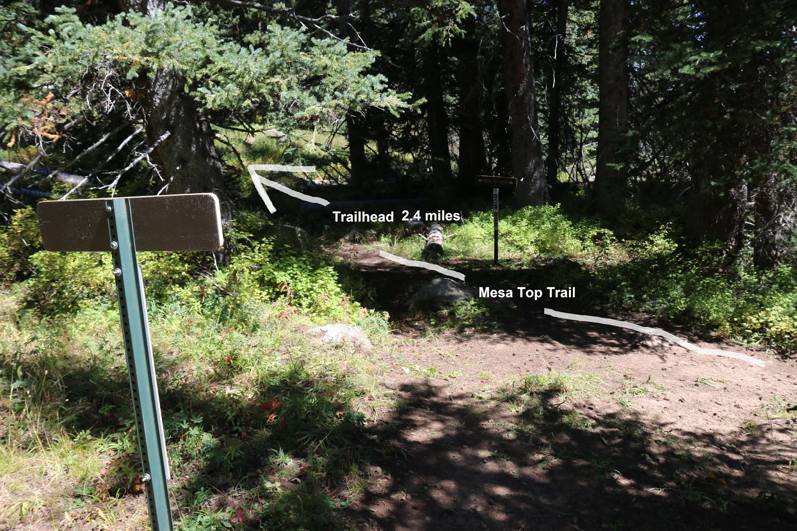 gjhikes.com: Skid Trail