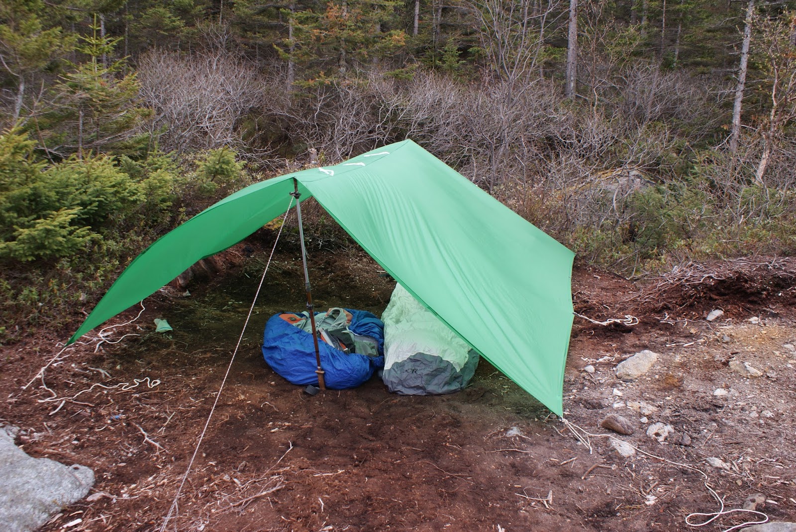 Tramping in the New Zealand backcountry: NZ Bush Adventures: Survival kit