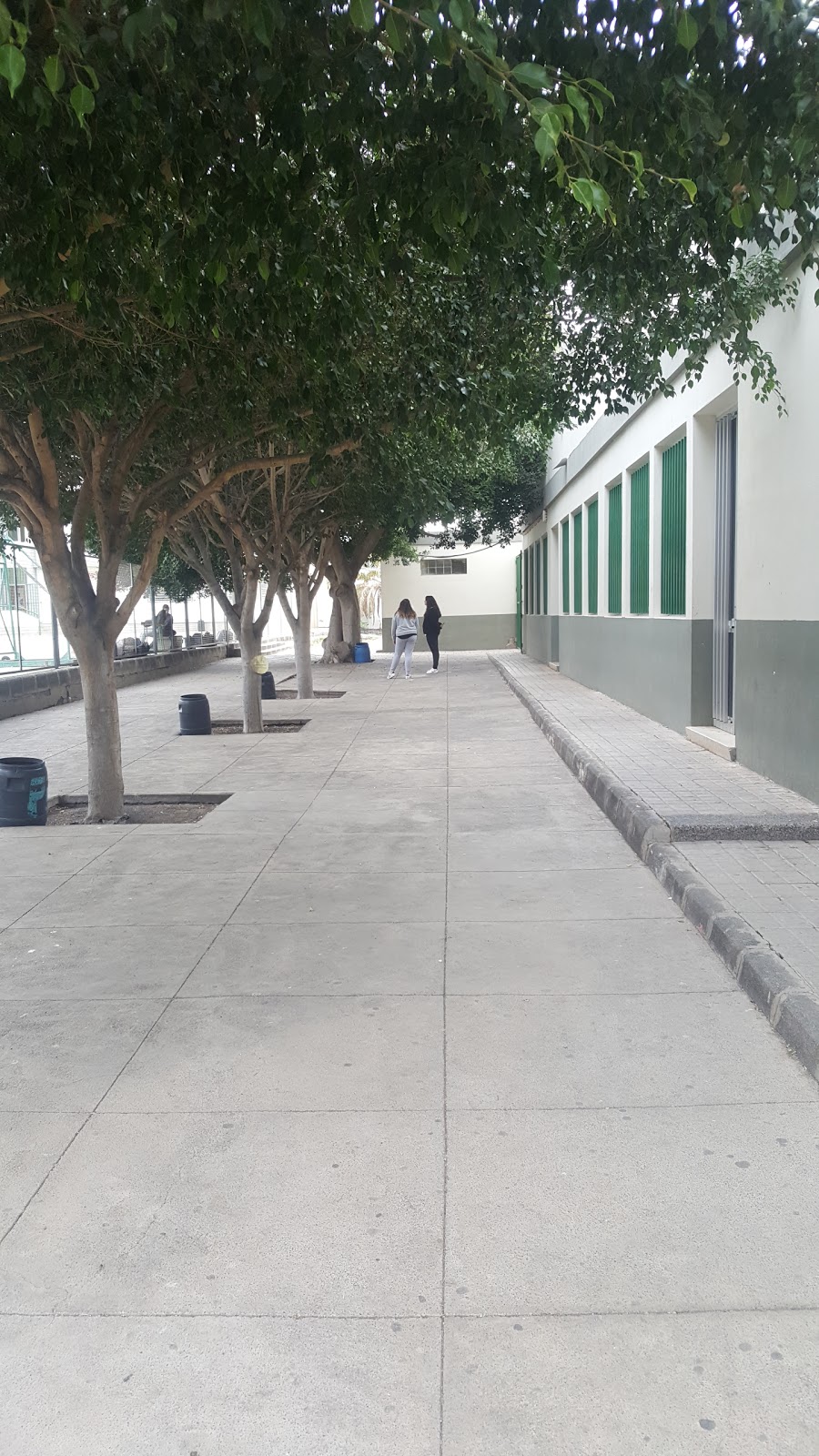 Christopher ojeda fotografia: leyes de composición (imagenes propias)