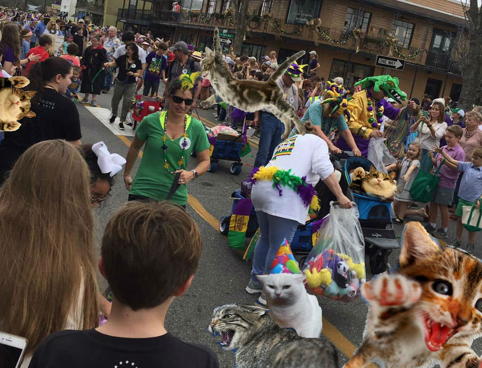First Annual Cosmic Cats Parade erupts in chaos, as expected.