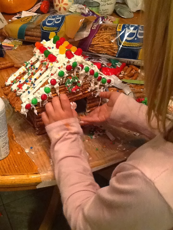 The M and N Project: Day 2: Log Cabin Pretzel House