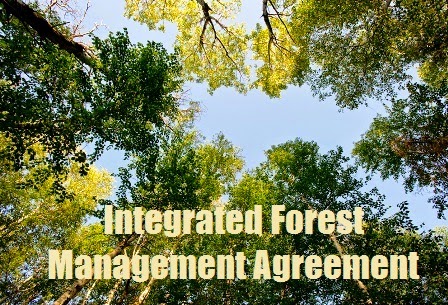 Thoughts to Promote Positive Action...: Integrated Forest Management ...