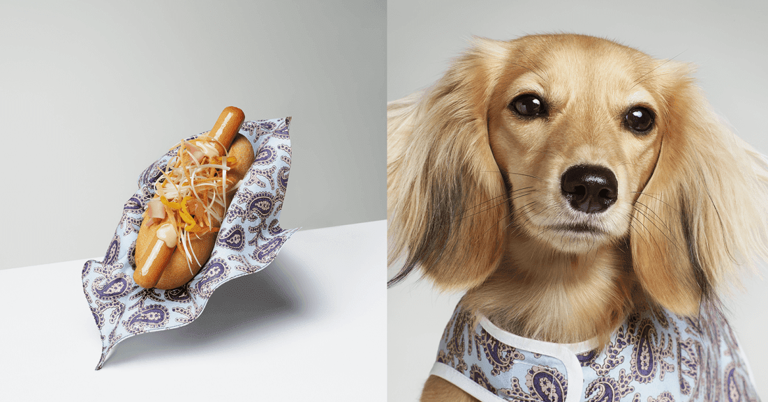 ㅤ: Um lindo dog bege!