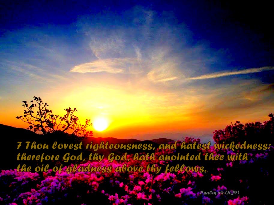 Red Pill Diaries: Psalm 45 (KJV)