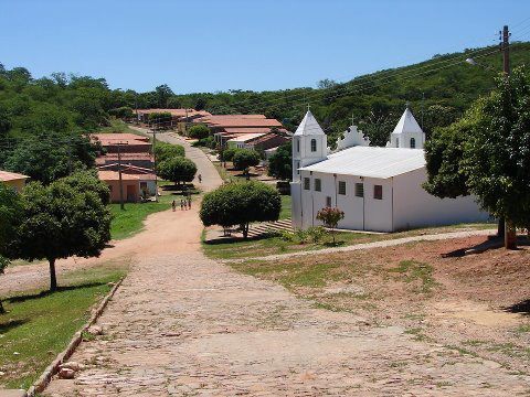 BROTAS AQUI: Mata de Bom Jesus inicia tradicional festa