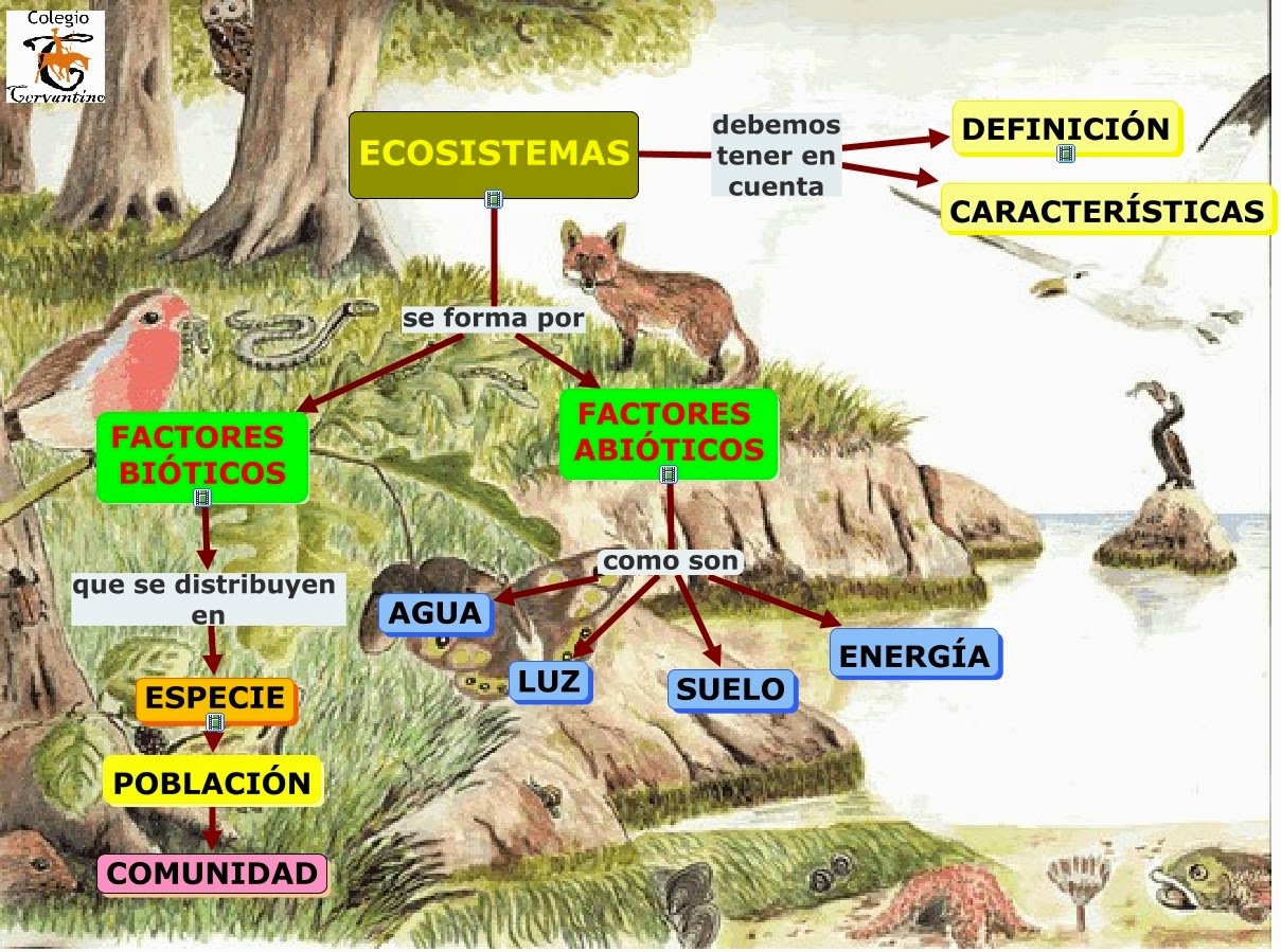 Clasificacion De Los Seres Vivos Seres Bioticos Y Abioticos Images