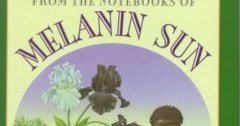 Kerry's Tween Reviews: Book Review: From the Notebooks of Melanin Sun ...
