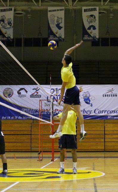 Deportes en Conjunto: Voleibol