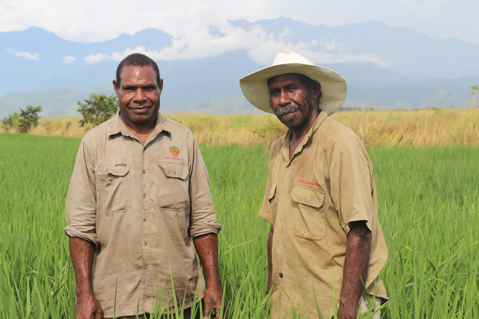 Trukai expanding investment in local rice production in PNG - Papua New ...