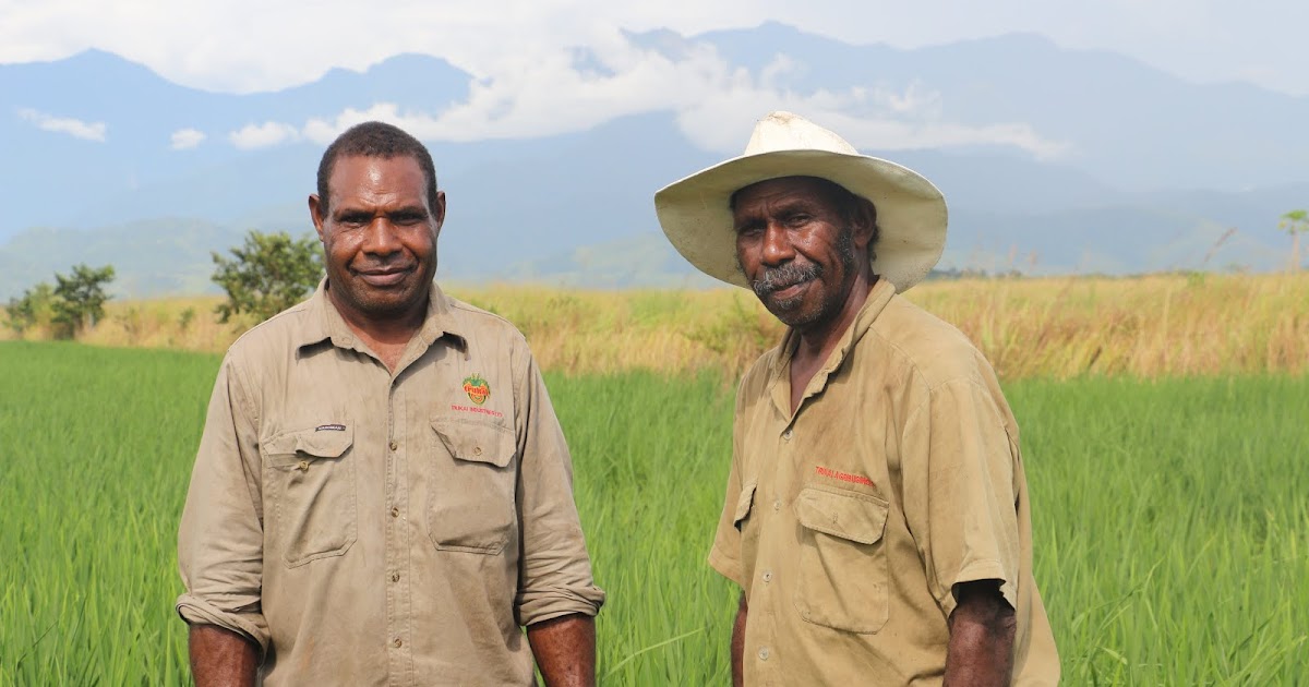 Trukai expanding investment in local rice production in PNG - Papua New ...