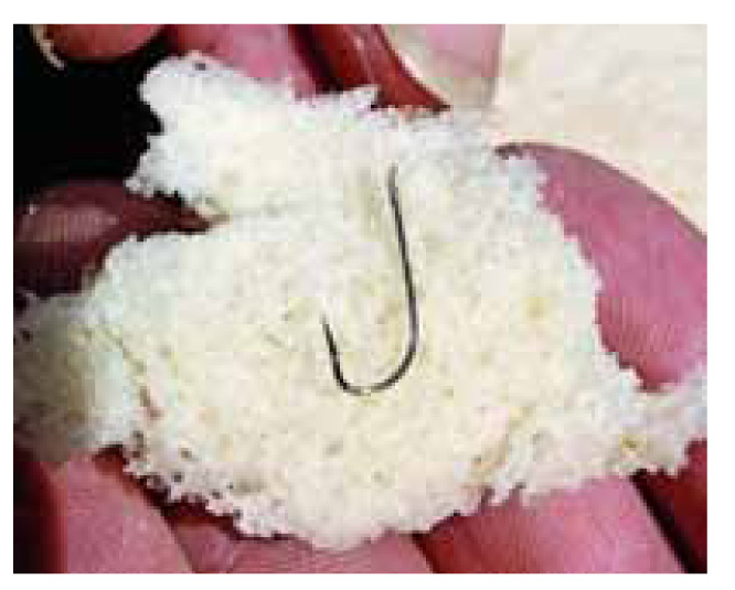 How To Fish For Mullet