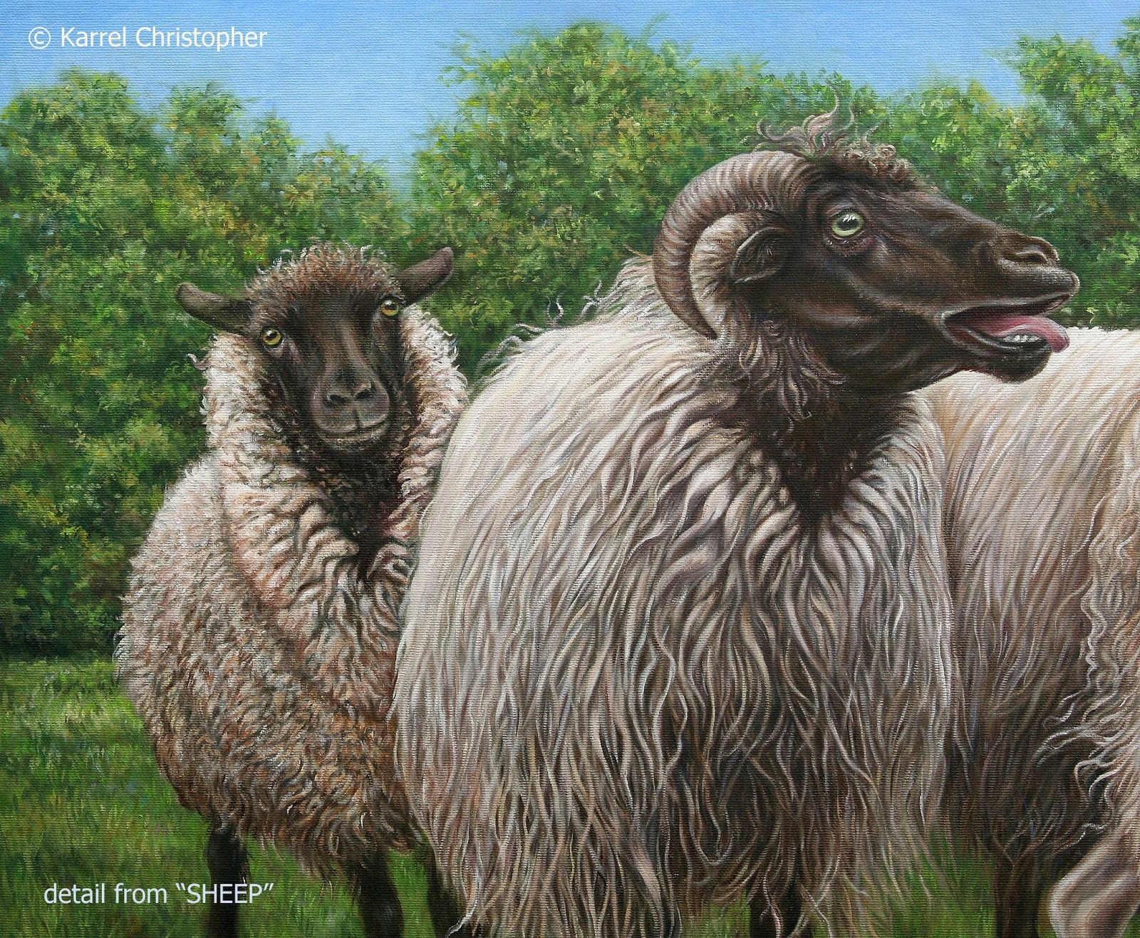 KARREL's Creative Path: SHEEP "Before the Shearing" oil painting
