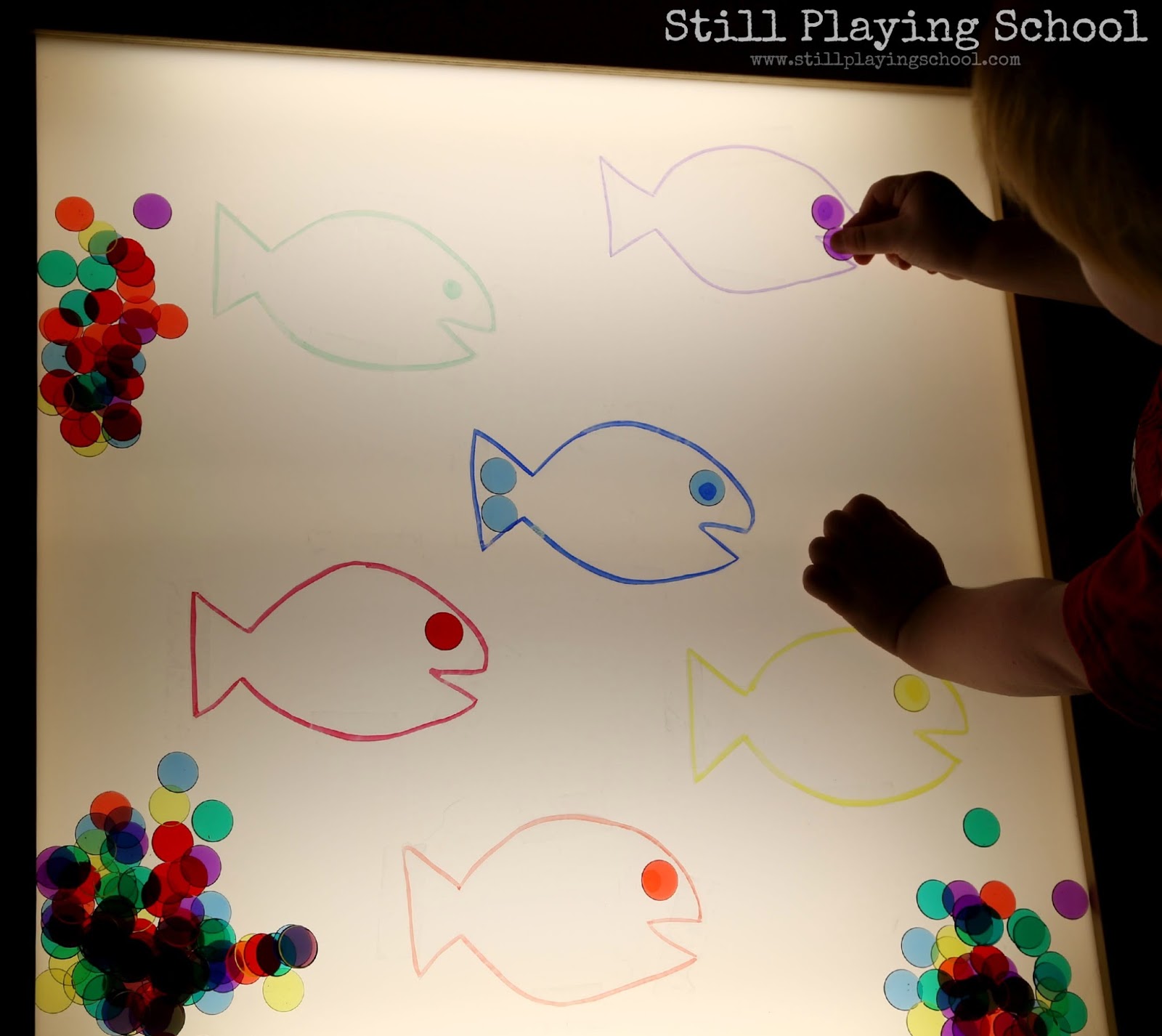 Fish Color Matching on the Light Table | Still Playing School