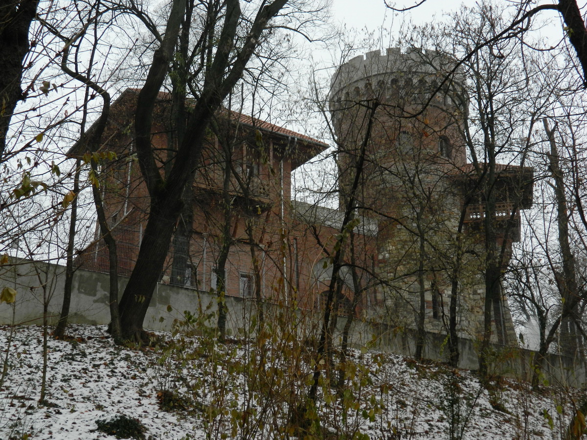 LA MULTI ANI, ROMANIA!: Castelul lui Vlad Tepes