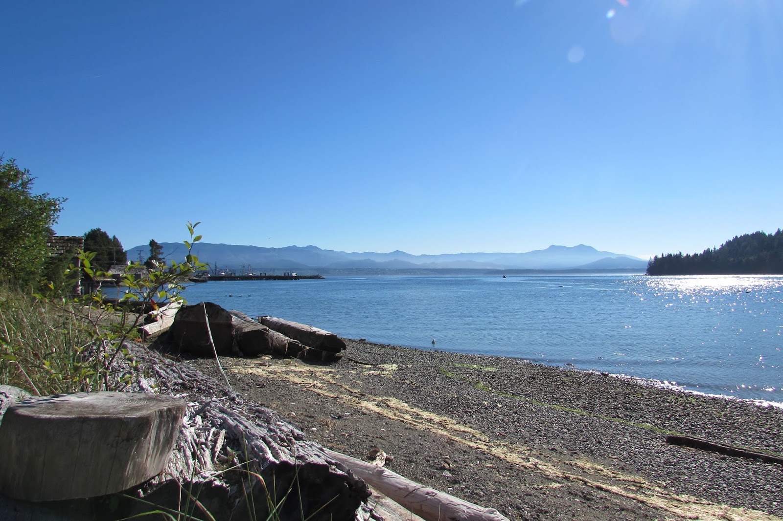 Waving at Strangers - creating a new life in Sointula, BC.: Our New ...