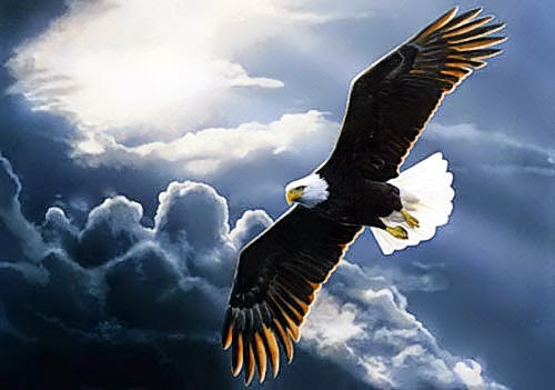 RAJAWALI | BLOG PUISI DAN PANTUN