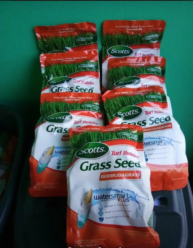 BENIH RUMPUT | JUAL BIBIT RUMPUT | BIJI RUMPUT MURAH