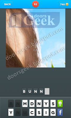 Zoomed In - Photo Word Game Level 82 ~ Doors Geek