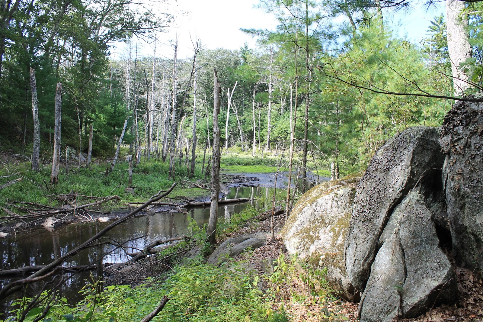 Bay Circuits: Bay Circuit Trail: Andover MA Skug River Reservation..
