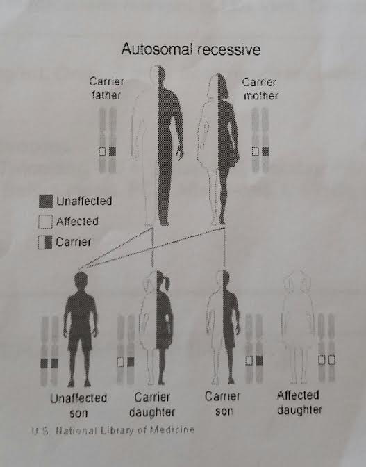 The Joy of Jules!: Genetics Results (Asparagine Synthetase Deficiency)