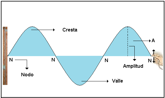 Movimiento ondulatorio : Partes de una onda: fase y desfase