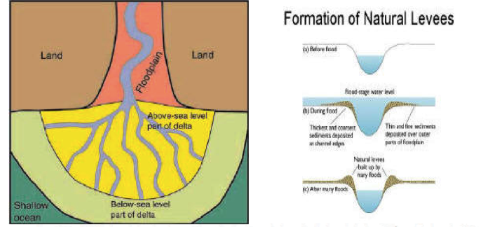 Oasis Geography Department : 2.2.2 River processes