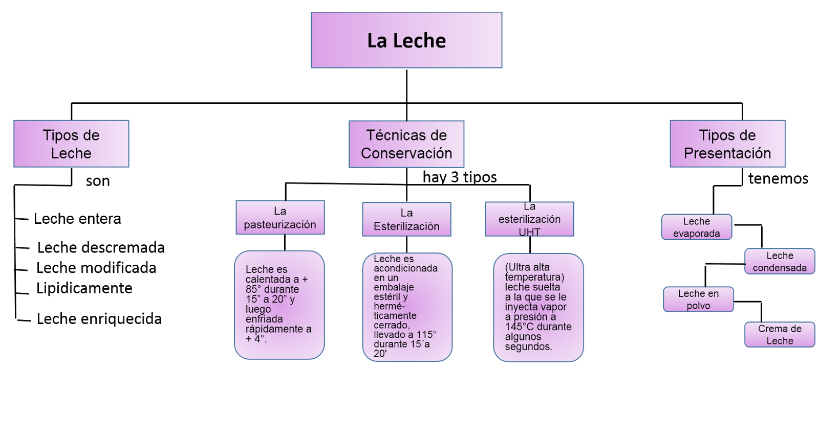 Aprendiendo juntos: MAPAS CONCEPTUALES