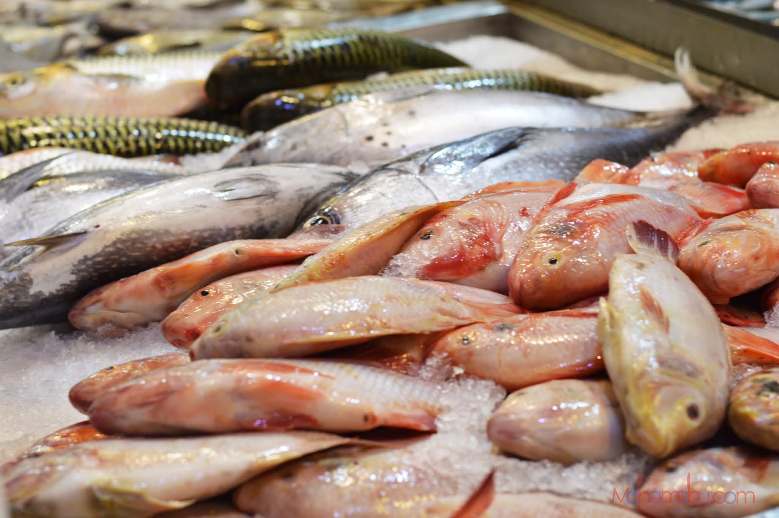 Beli-belah Di Pasaraya Segi Fresh Dapat Harga Borong Dan Barangan Segar ...