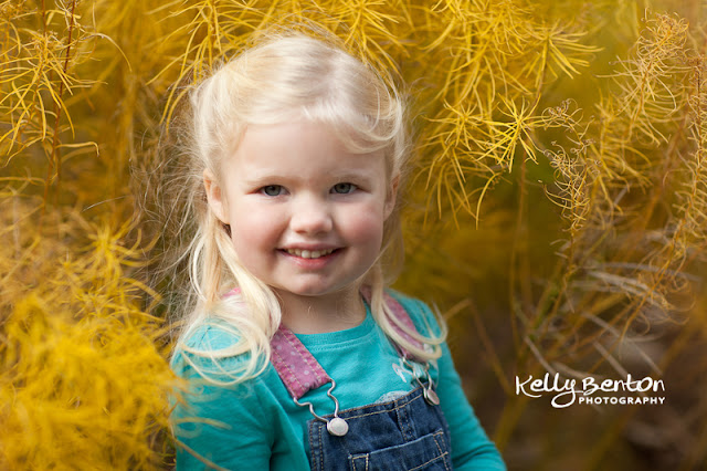 Kelly Benton Photography: Capewell Family :: Fort Wayne Family Photography