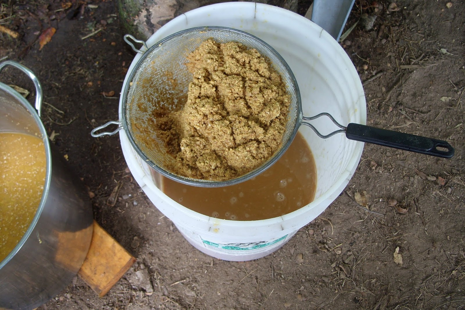 Forest House Farm: Leaching Acorns