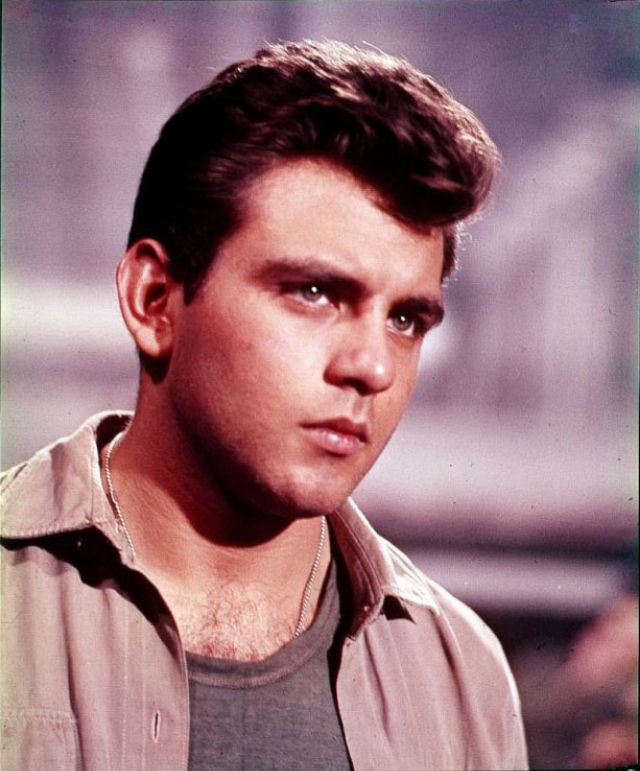 Fabian Forte: American Teen Idol of the Late 1950s and Early 1960s ...