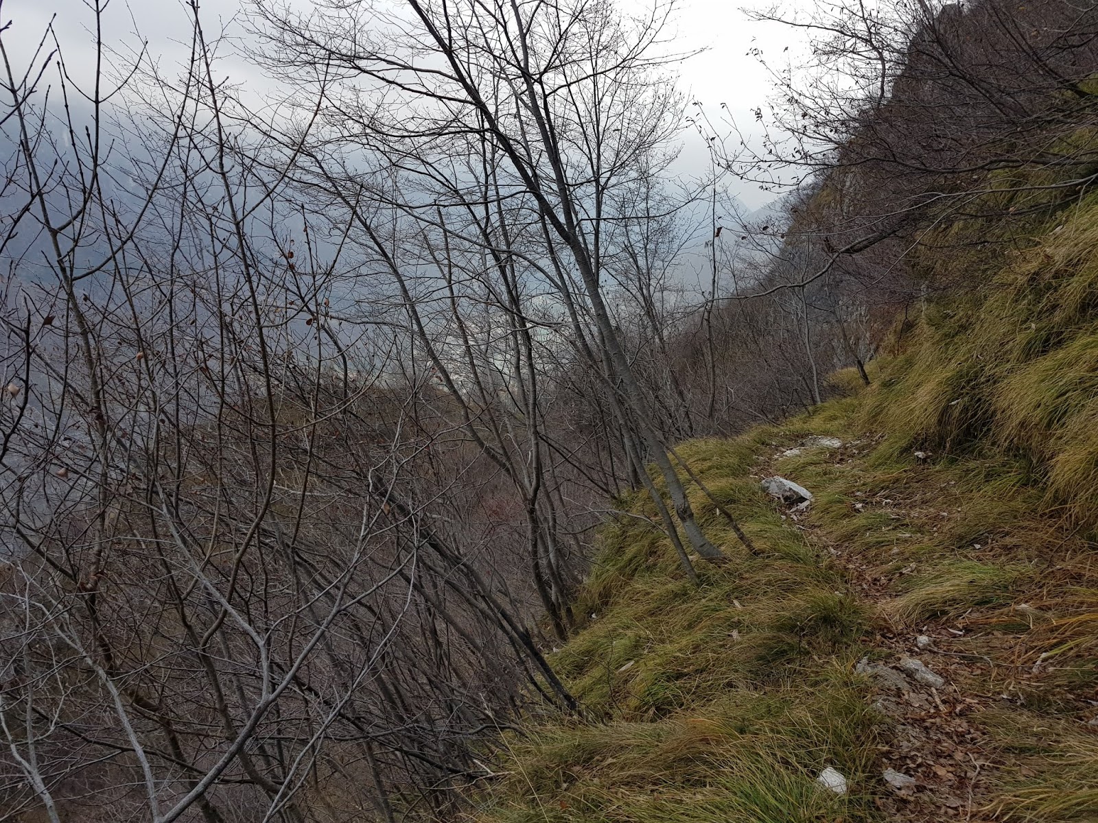 Su strade e sentieri: COL D'ASTIAGO (m. 1.241) - SENTIERO DEL VU - Val ...