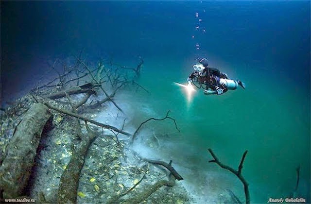Mexico Underwater River Flowing Under the Ocean
