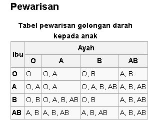 Muhammad Fajrul Falah: Golongan Darah