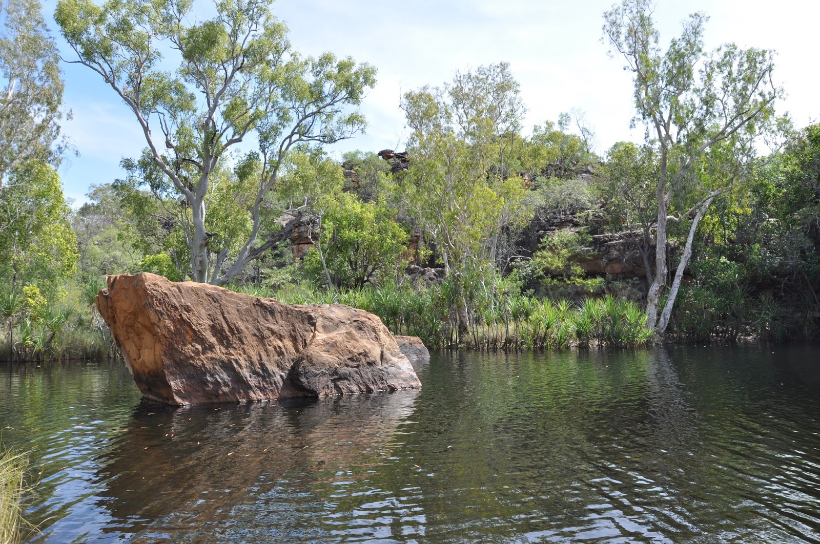 BarbaraTVan: BARBARA'S KIMBERLEY ADVENTURE - THE GIBB RIVER ROAD TO ...