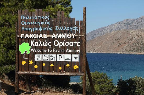 COM LIVE WEB TV: ΕΚΤΑΚΤΟ -Στη παχεια αμμο ιεραπετρας στο ΕΓΚΑΤΕΛΙΜΕΝΟ ...