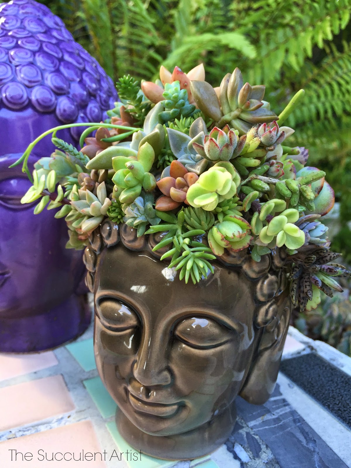 Buddha Head Succulent Planter