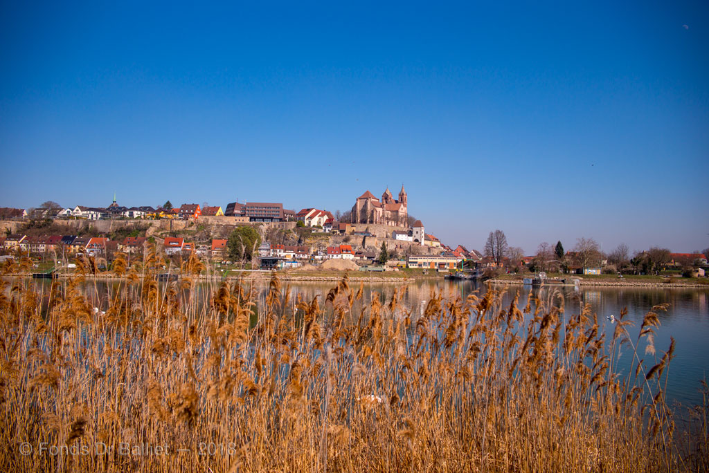 Balade au-dessus du Rhin… Découvrir Breisach am Rhein (Vieux-Brisach)