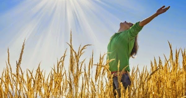 ¿Por qué nos atrae el Sol?