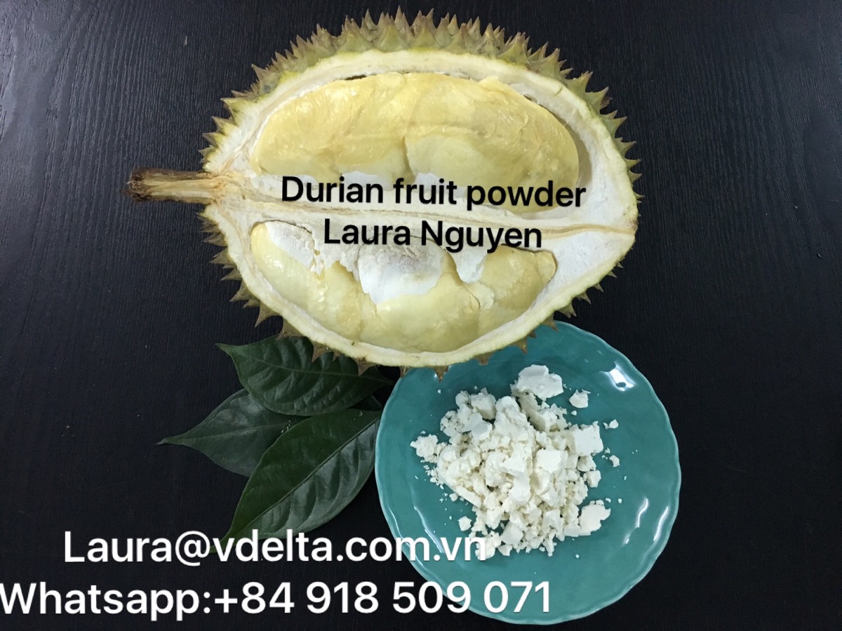 Durian powder - Extract powder suppliers