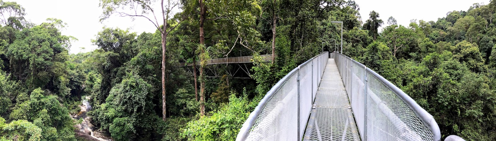 Kulim Tree Top Walk