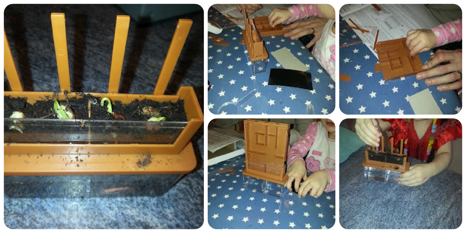 Great Gizmos. Green Science Grow-A-Maze - Emmy's Mummy