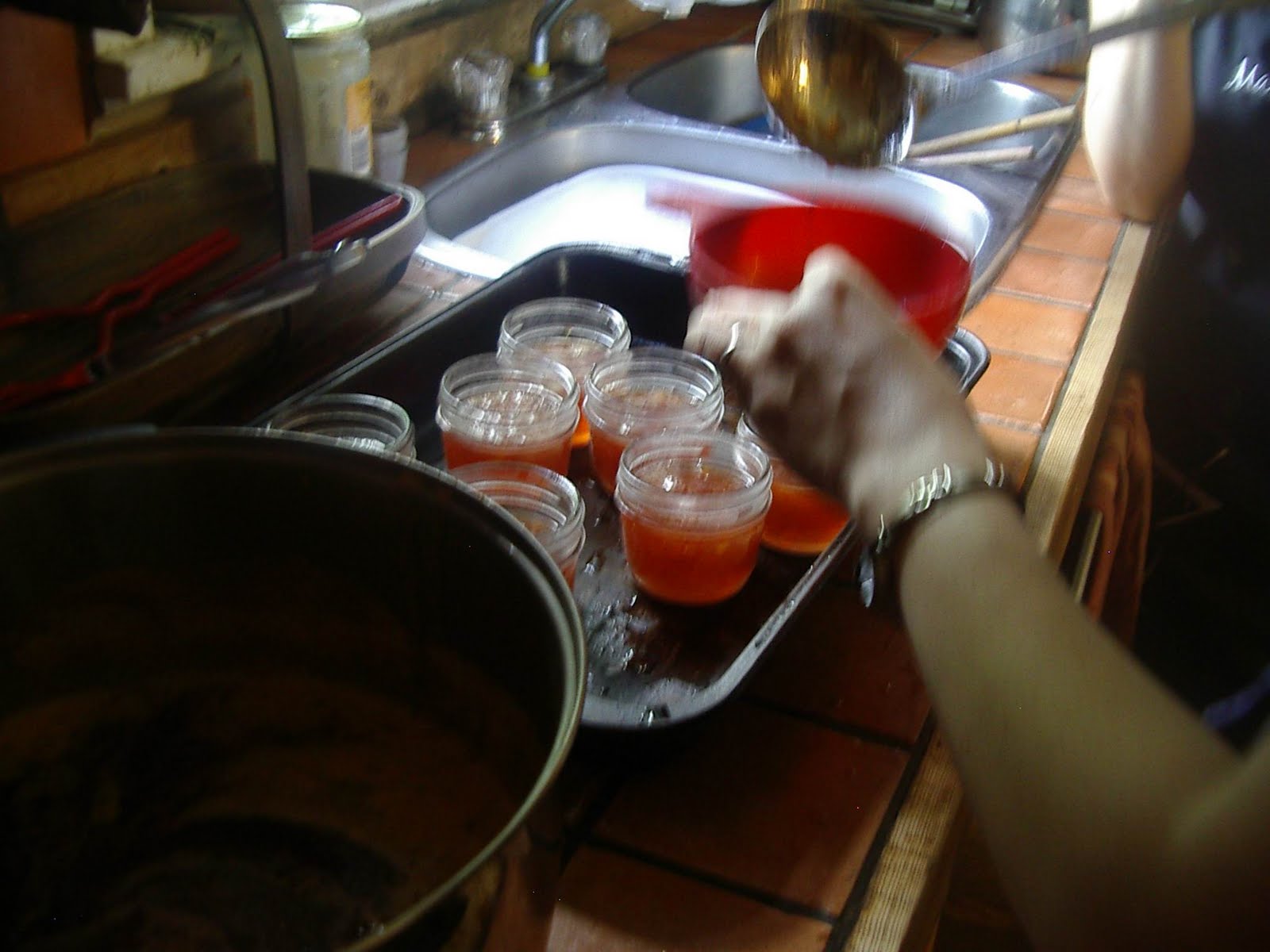 Little City Farm: Preserving Sweet Summer - jam making workshop