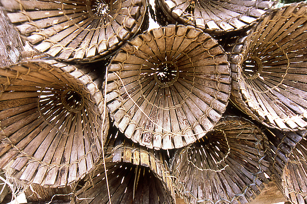 TERCEIRA VIA: Cenas da Amazônia: O Velho Matapi