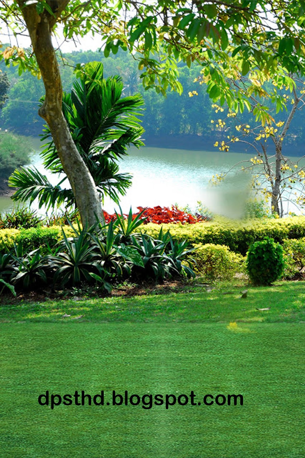 Photo Background Images 4x6 Hd | Topbackground