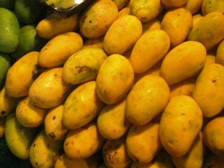 GAITAS Y AGUINALDOS: EL MANGO DE HILACHA