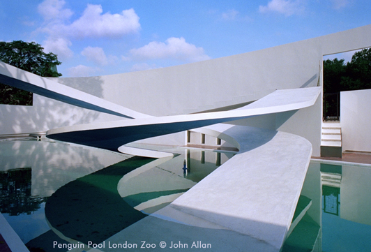 L o o k i n g f o r m y E v e: penguin pool