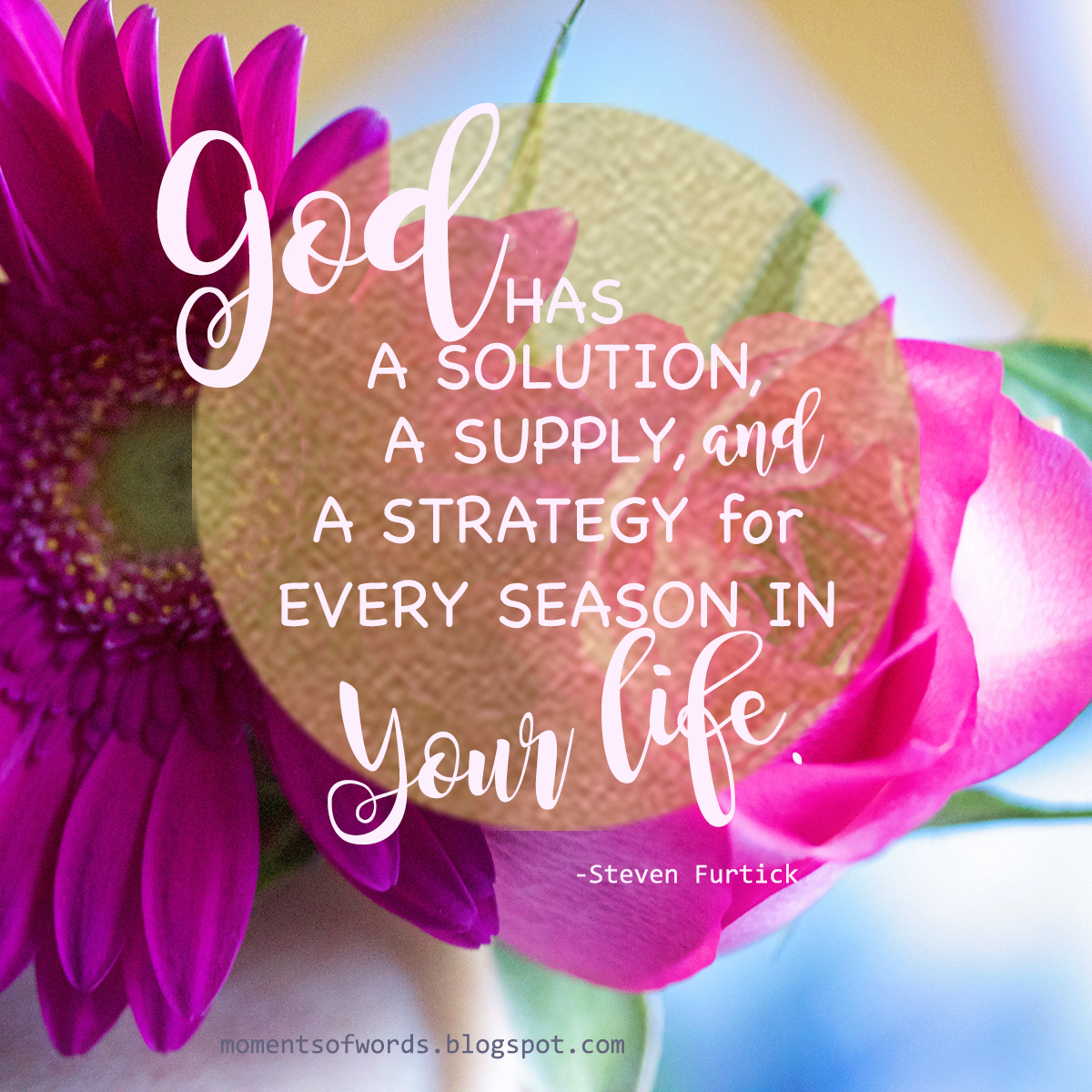 God has a solution, a supply and a strategy...for you! | Moments of words