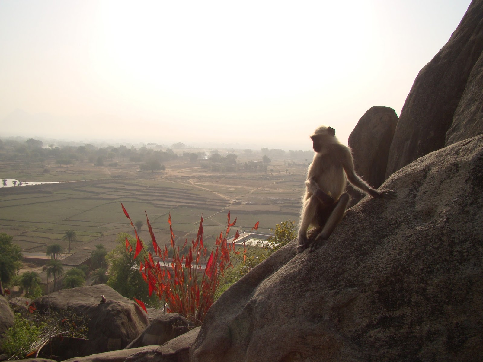 Short Trip at Deoghar and Tapovan